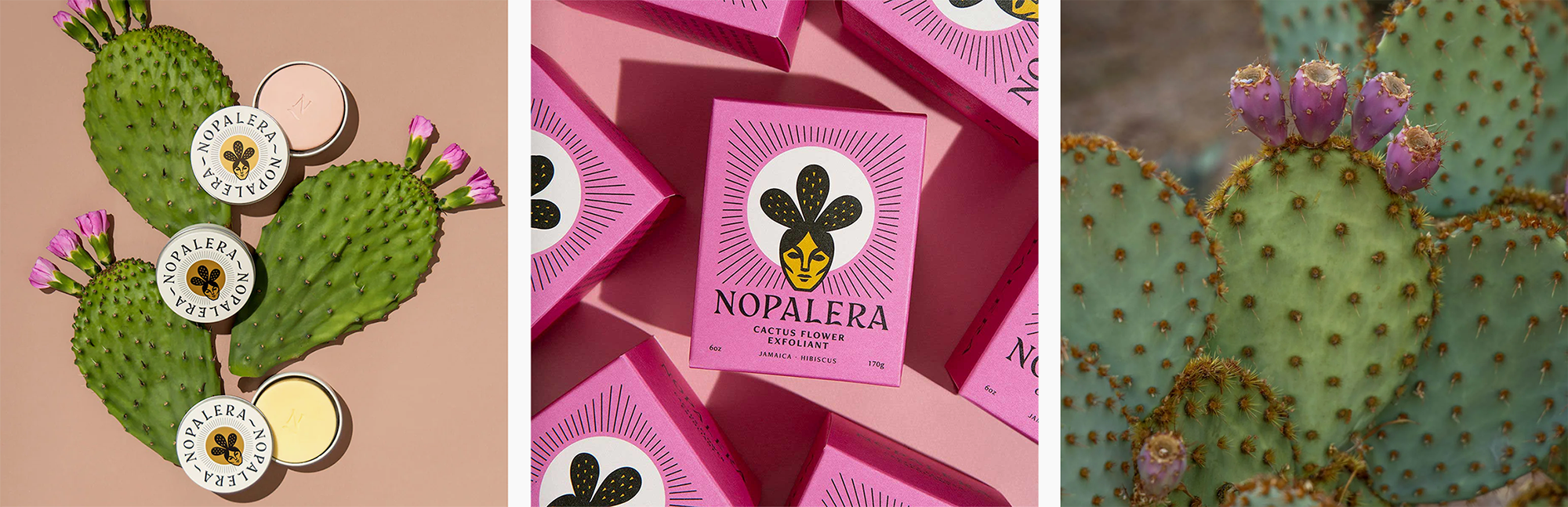 Nopalera – Soleil Blue